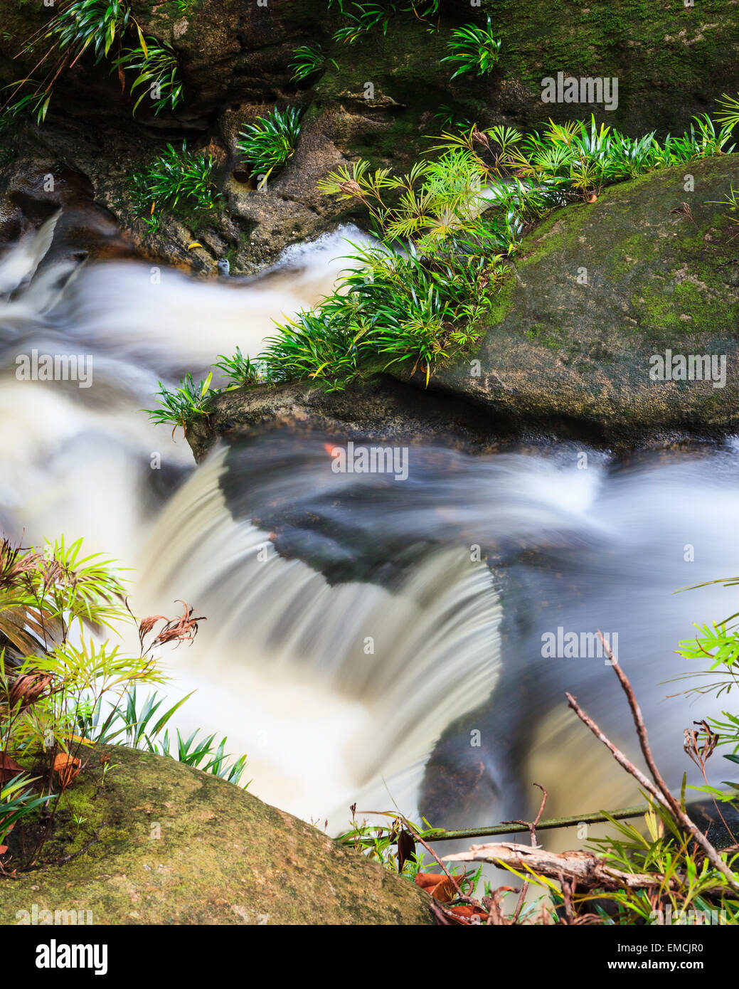 Small waterfall in jungle Stock Photo - Alamy