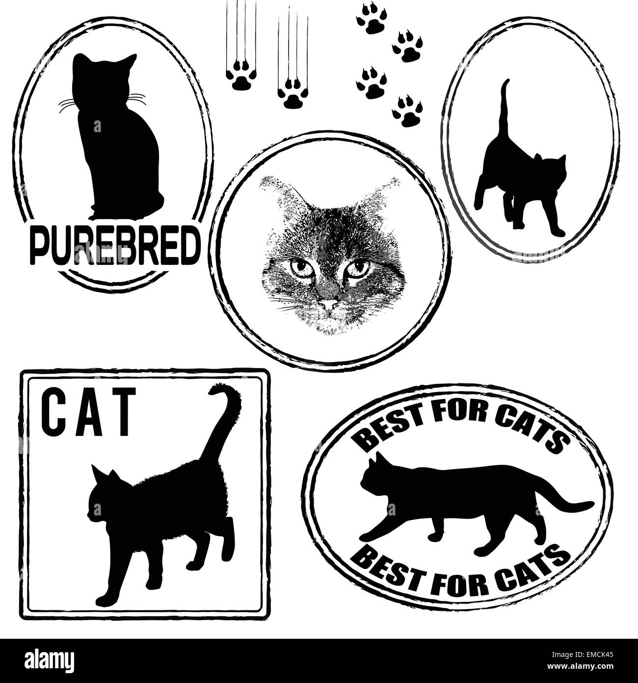 Vintage cat inside Stock Vector Images - Alamy