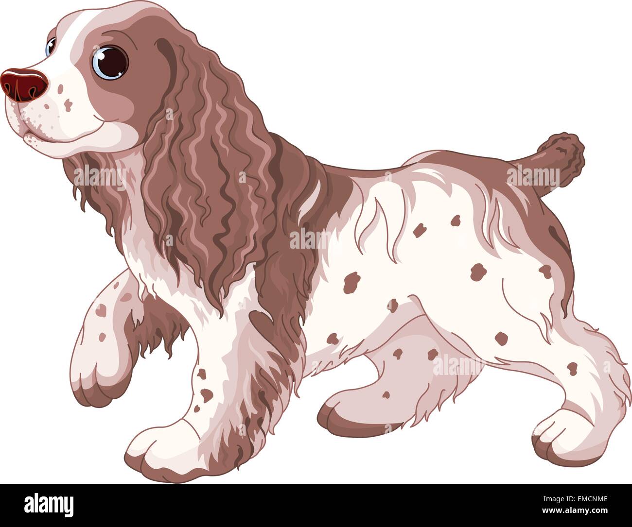 Vector illustration springer spaniel dog hi-res stock photography and ...