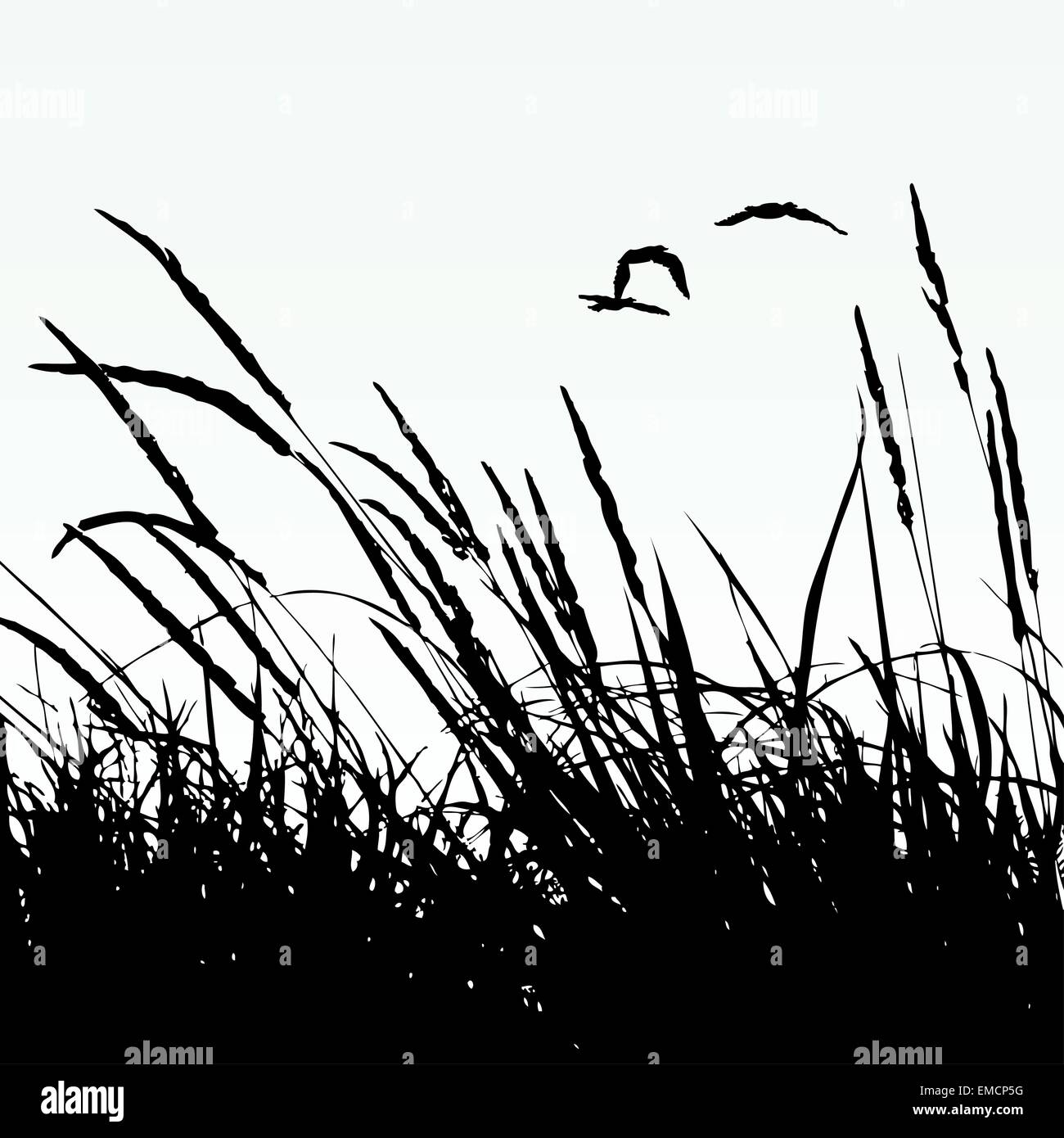 Reeds water Stock Vector Images - Alamy