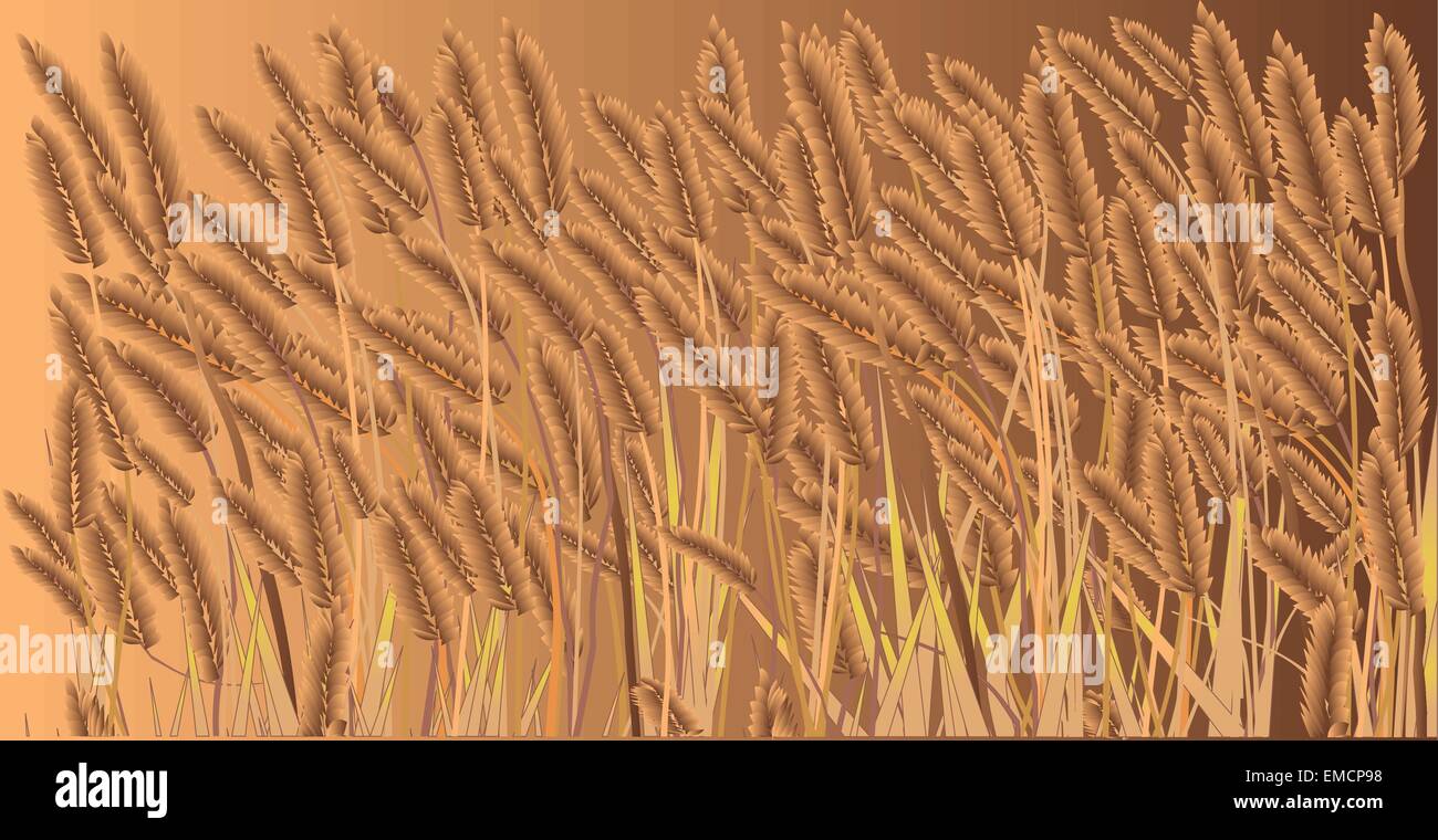 Field growing grass Stock Vector Images - Alamy