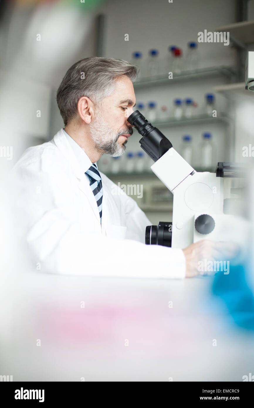 Scientist in laboratory looking through microscope Stock Photo - Alamy