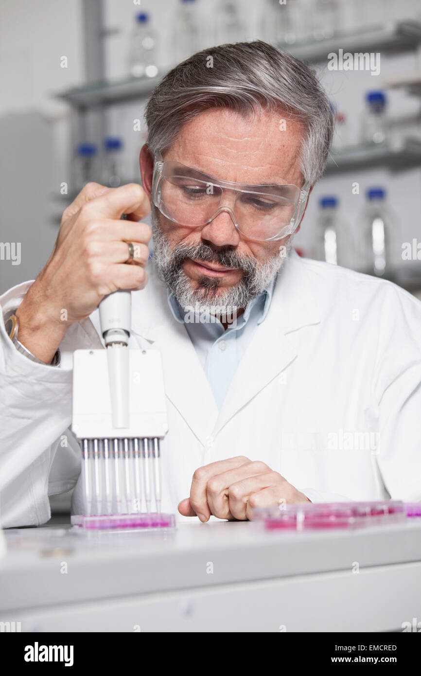 Scientist pipetting in laboratory Stock Photo - Alamy