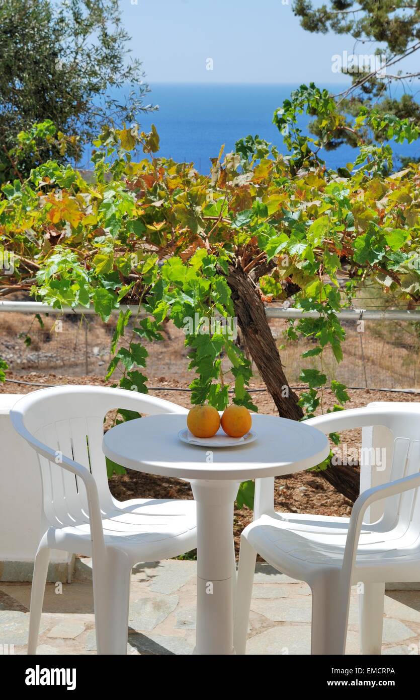 Oranges on a breakfast table on a sunny morning in the Greek Islands ...
