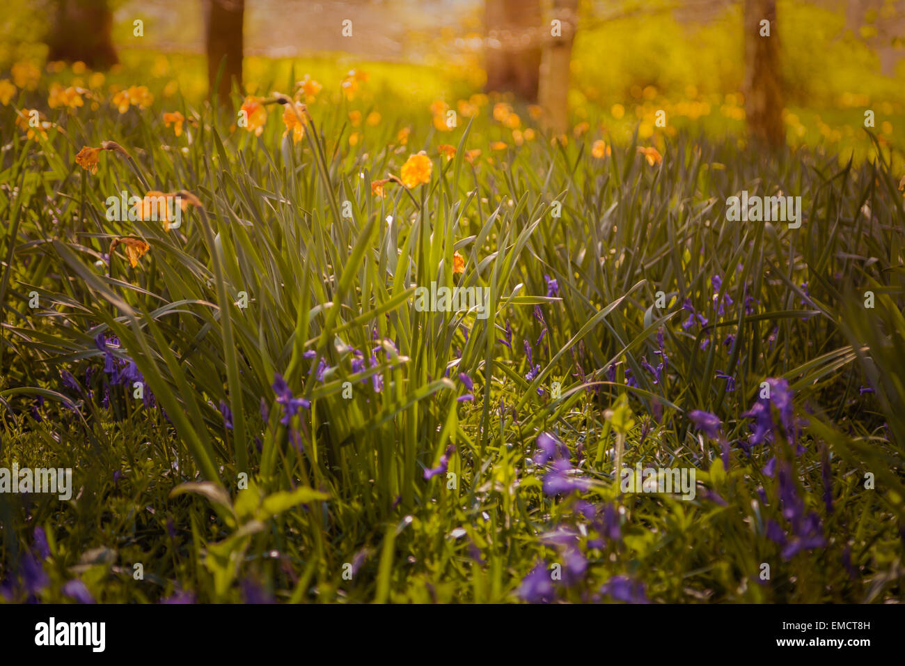 Spring colours hi-res stock photography and images - Alamy