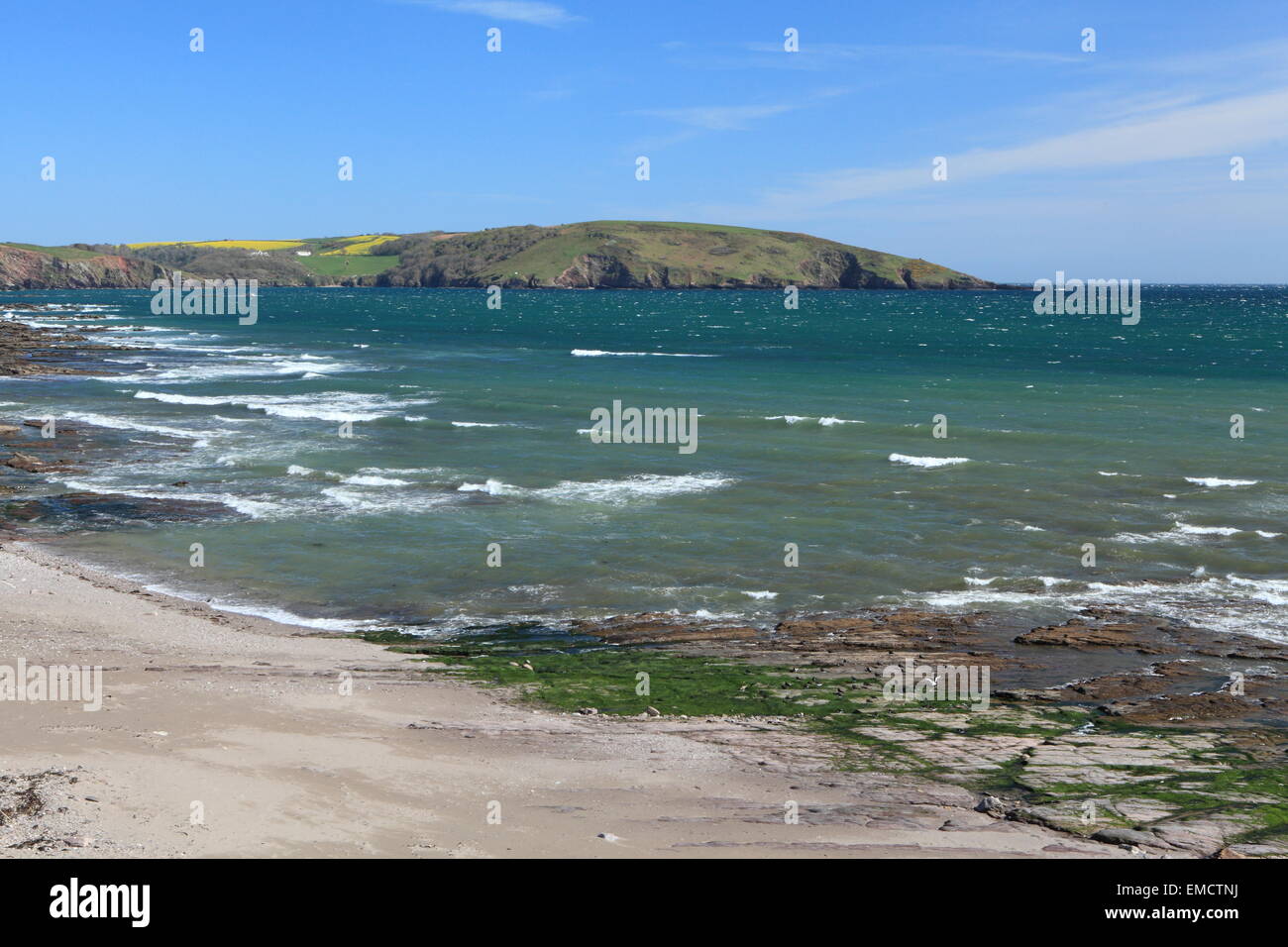 Glorious blustery spring day, Wembury bay, Devon, England, UK Stock ...