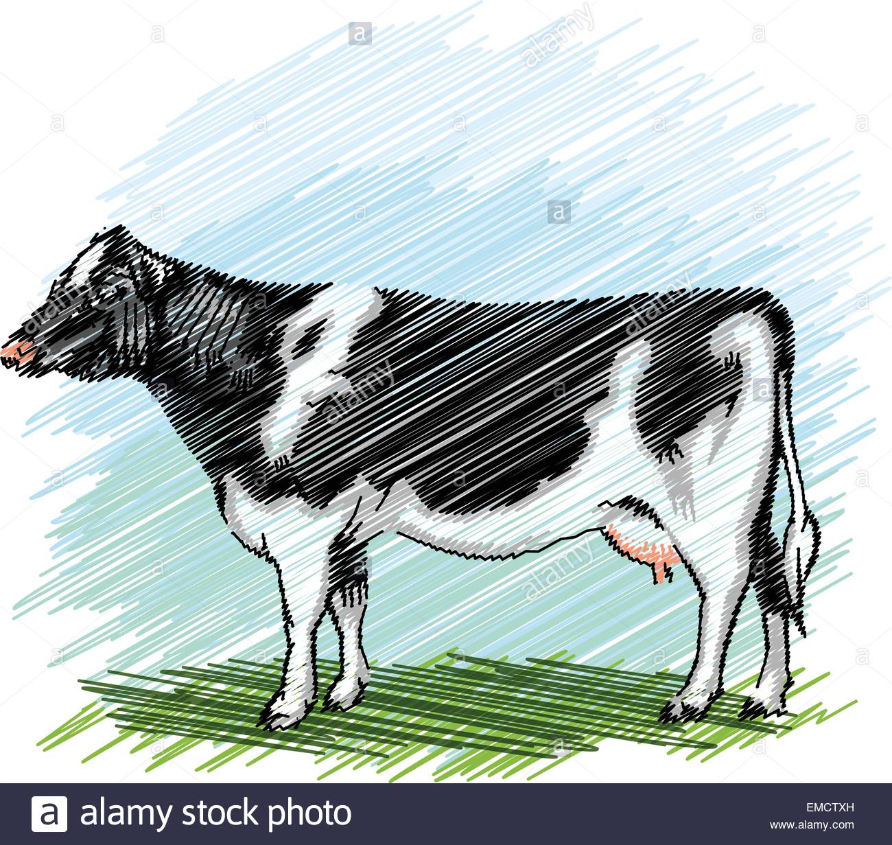 Cow Field Drawing Stock Photos & Cow Field Drawing Stock Images - Alamy