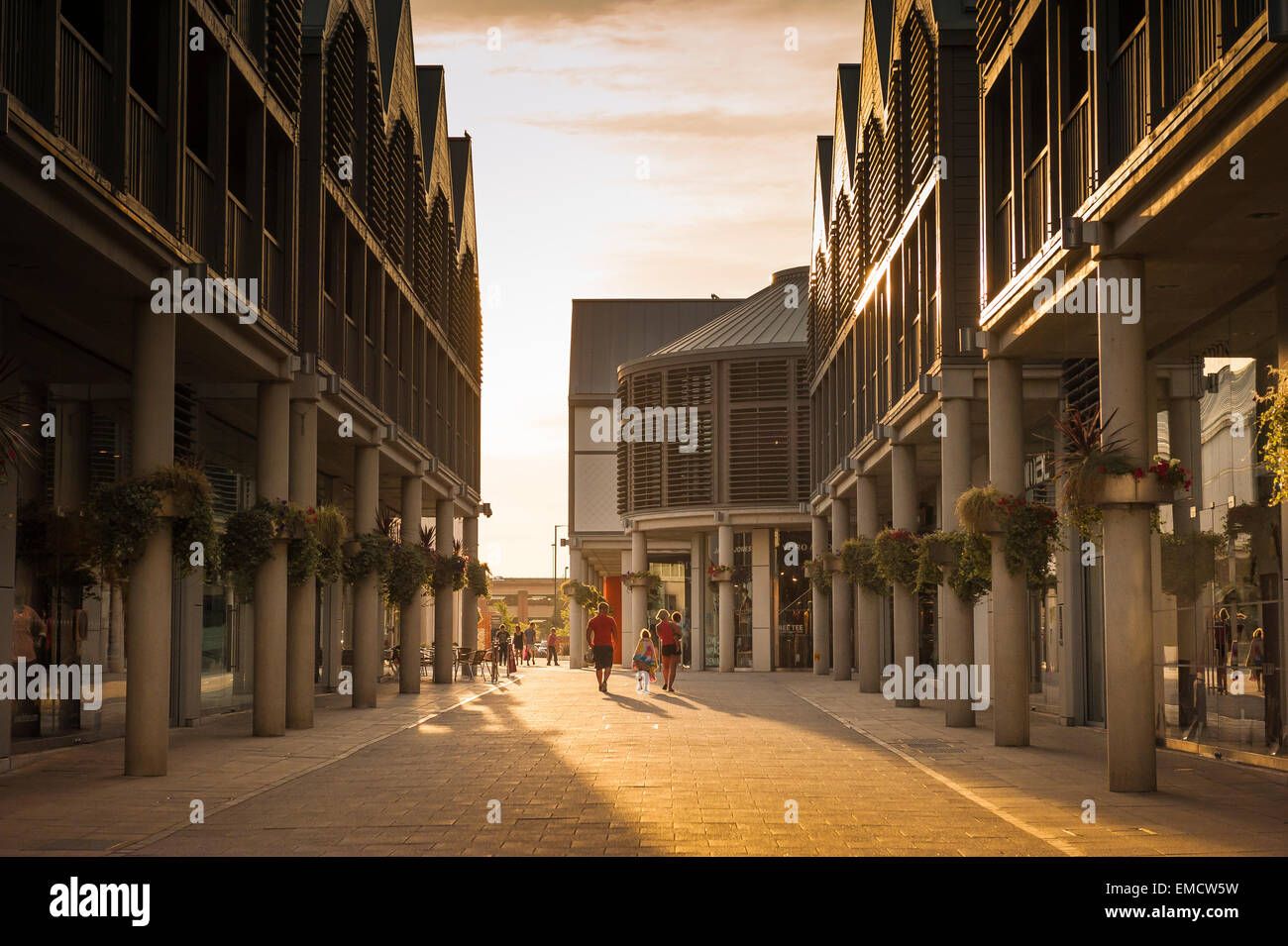 Apex consumer hi-res stock photography and images - Alamy