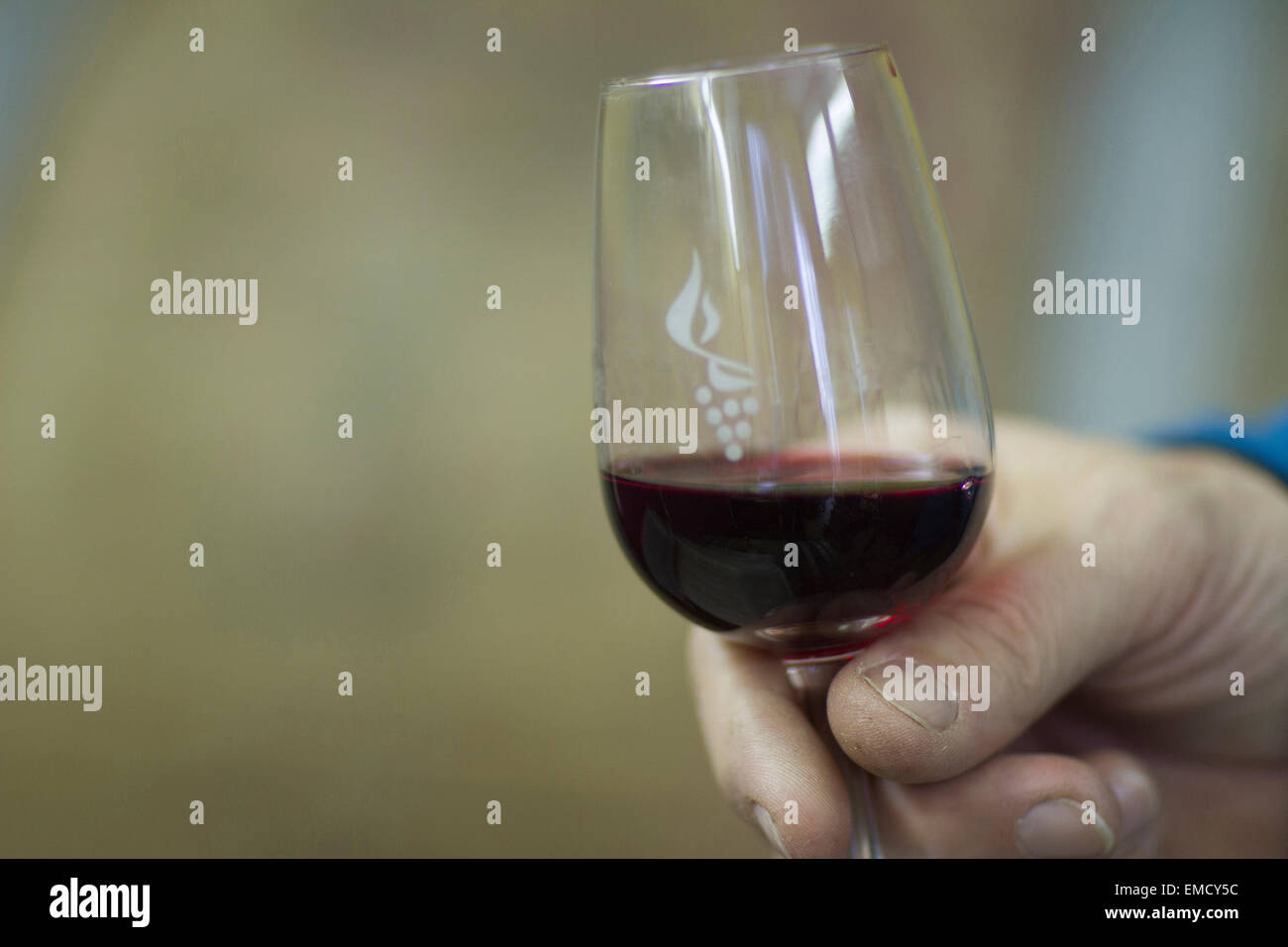 Hand holding glass of red wine Stock Photo - Alamy