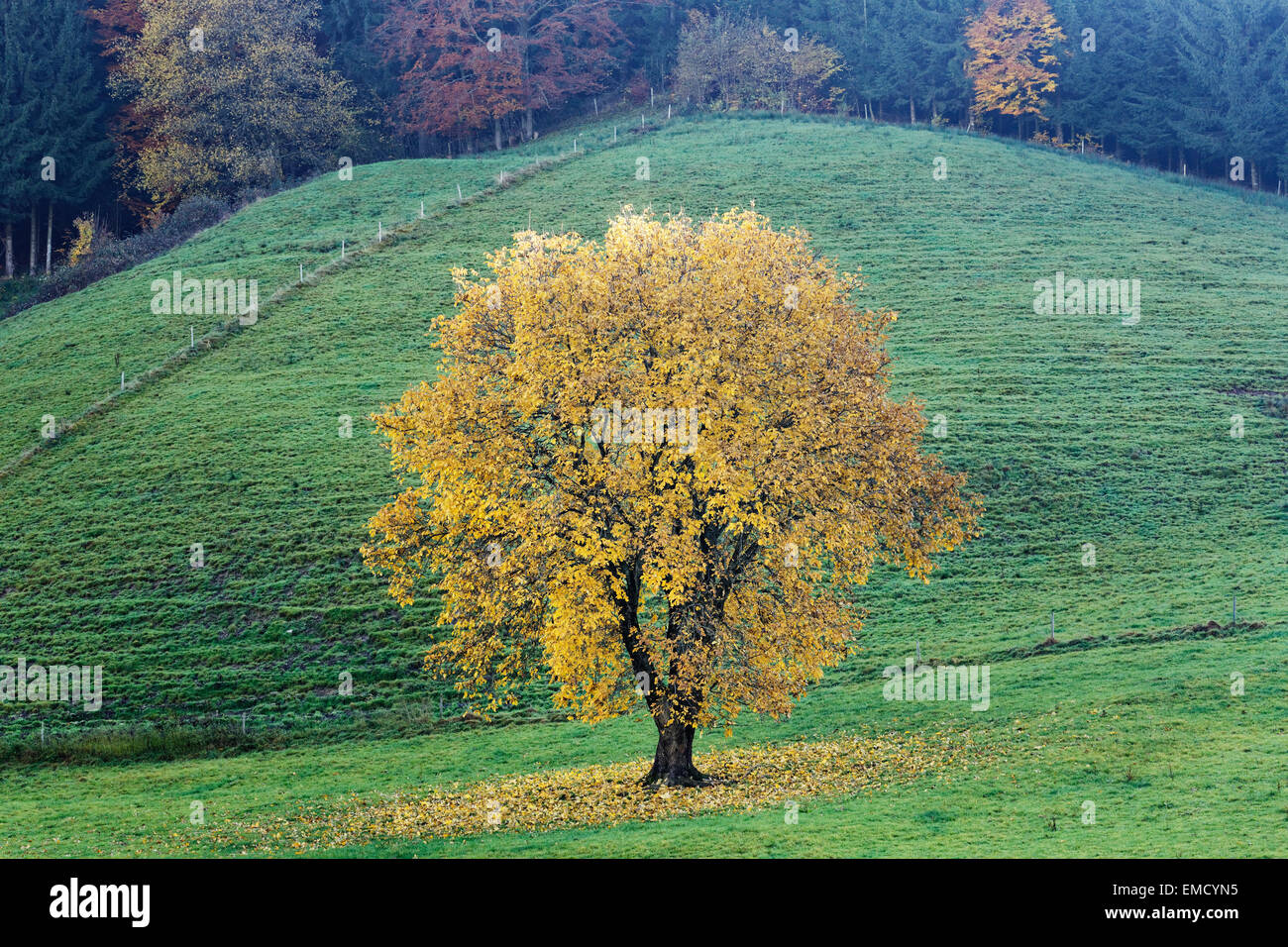 Bergen chiemgau hi-res stock photography and images - Alamy