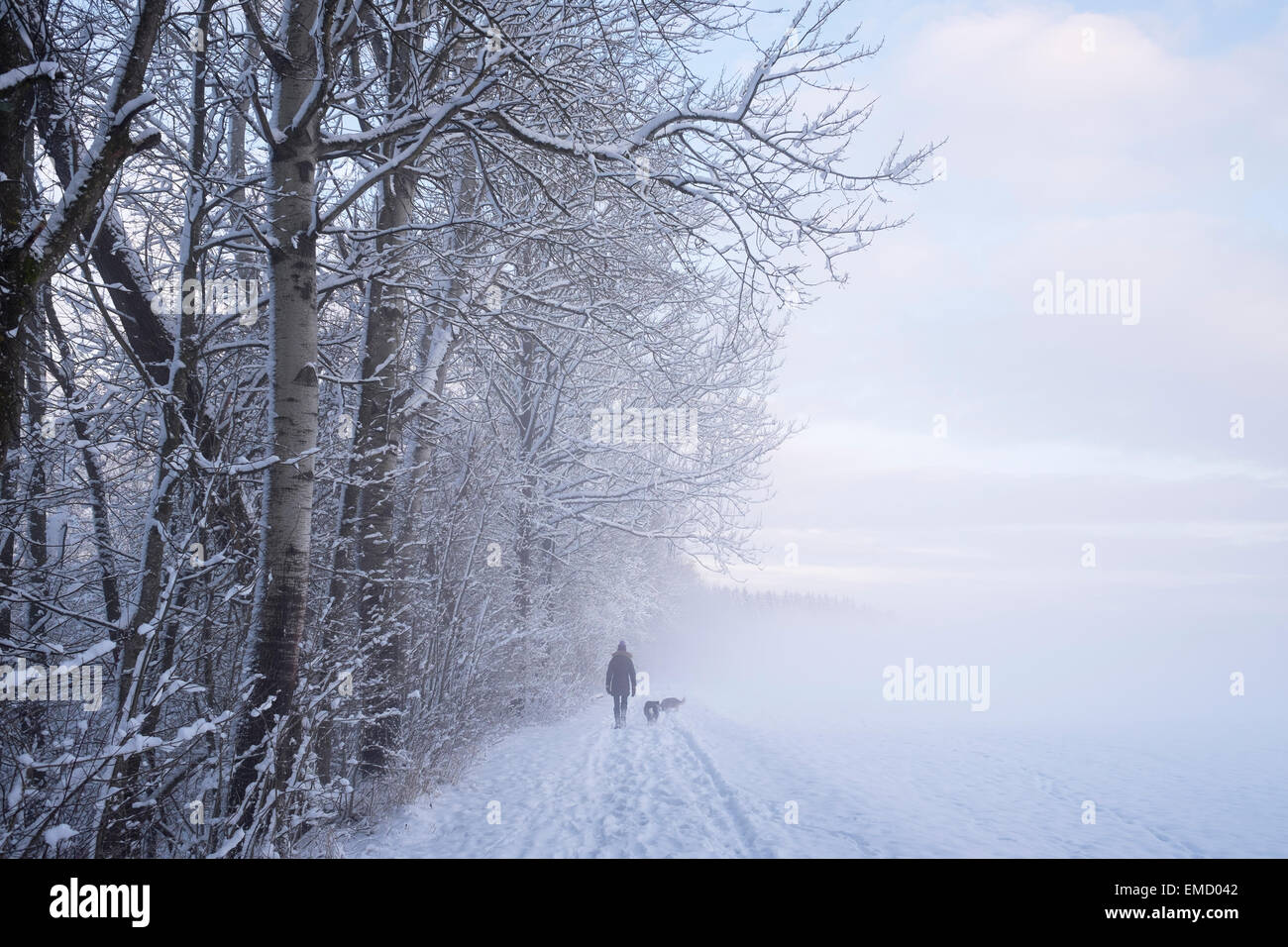 Dogs in the landscape hi-res stock photography and images - Alamy