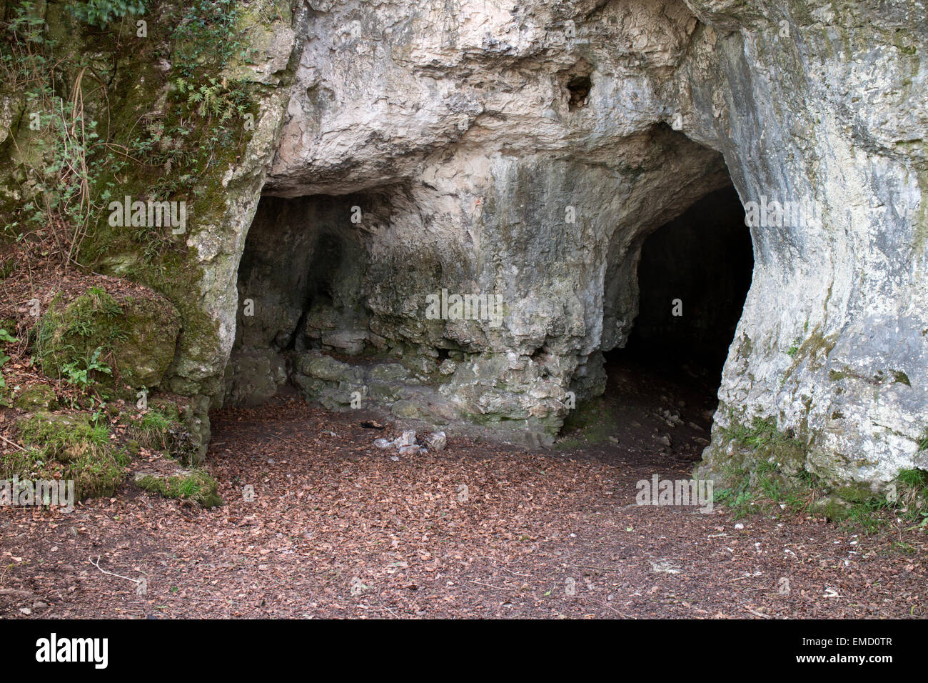 King Arthur`s Cave, The Doward, Symonds Yat, Herefordshire, England, UK ...