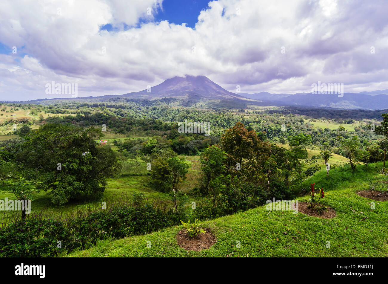 Costa Rica, Arenal Volcano National Park, View to Arenal Volcano Stock ...