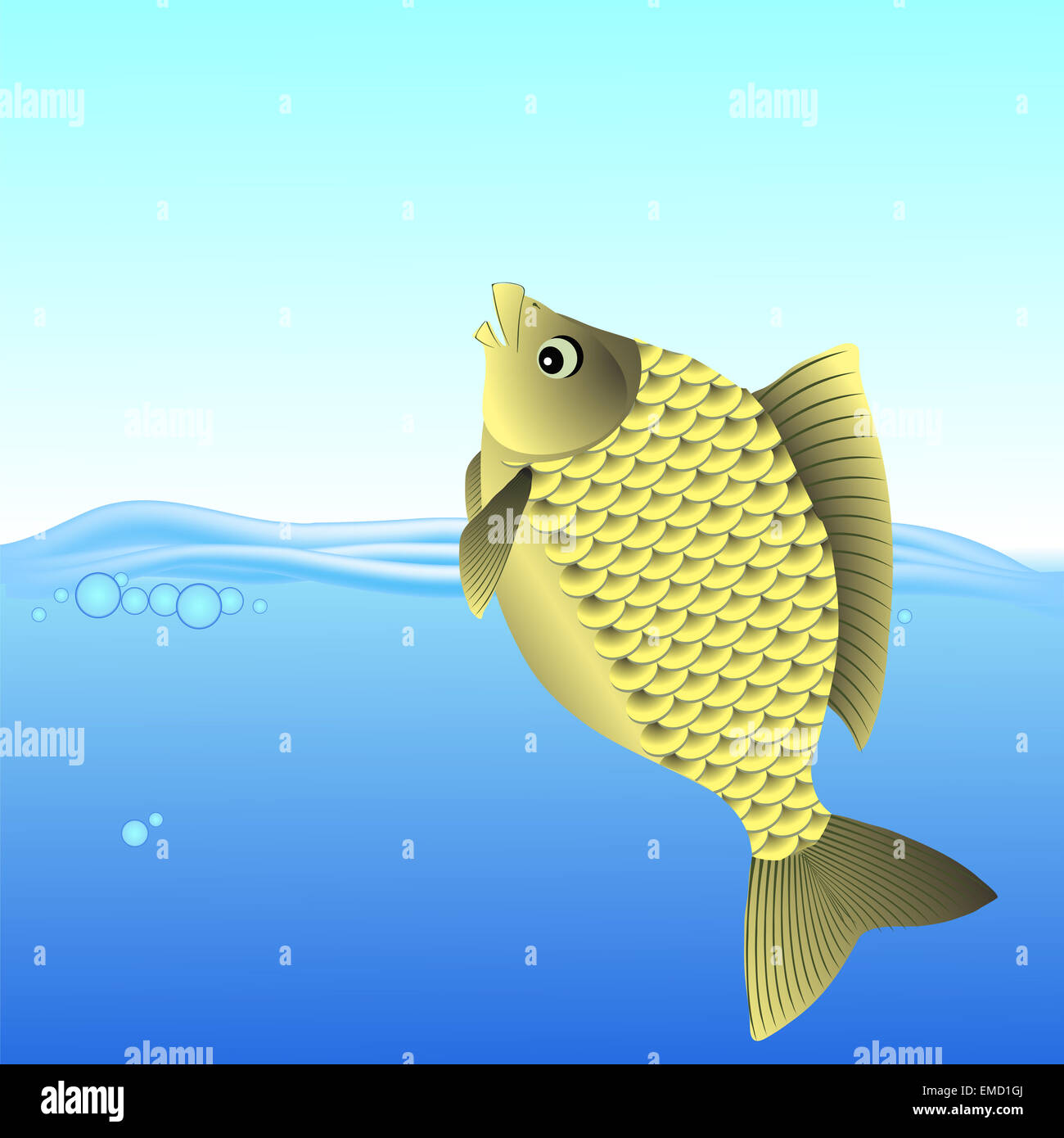 One eye fish illustration hi-res stock photography and images - Alamy