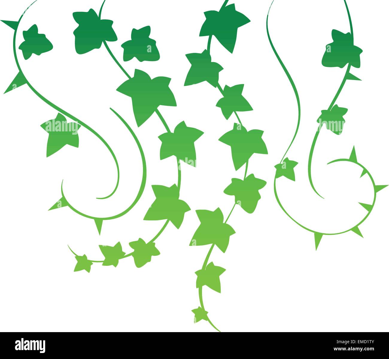 Ivy leaf and berry Stock Vector Images - Alamy