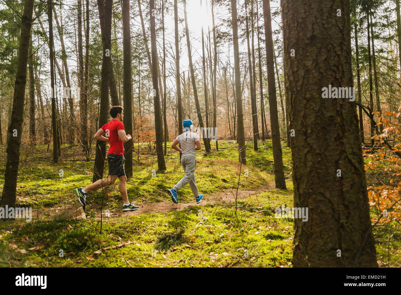Two young men jogging on forest path Stock Photo - Alamy