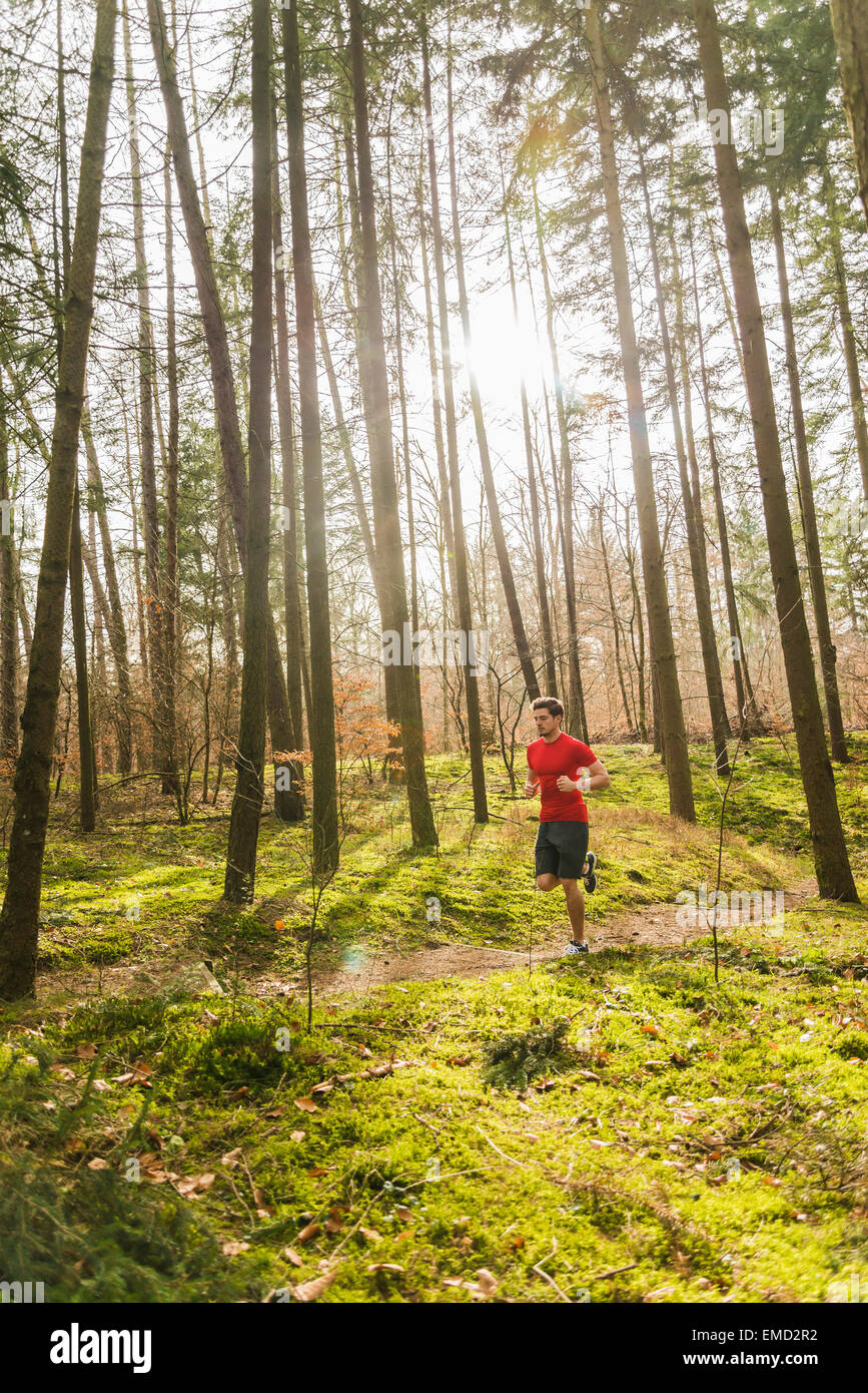 Young man jogging on forest path Stock Photo - Alamy