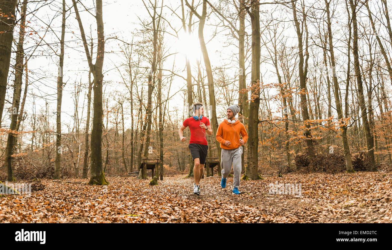 Two young men jogging in forest Stock Photo - Alamy