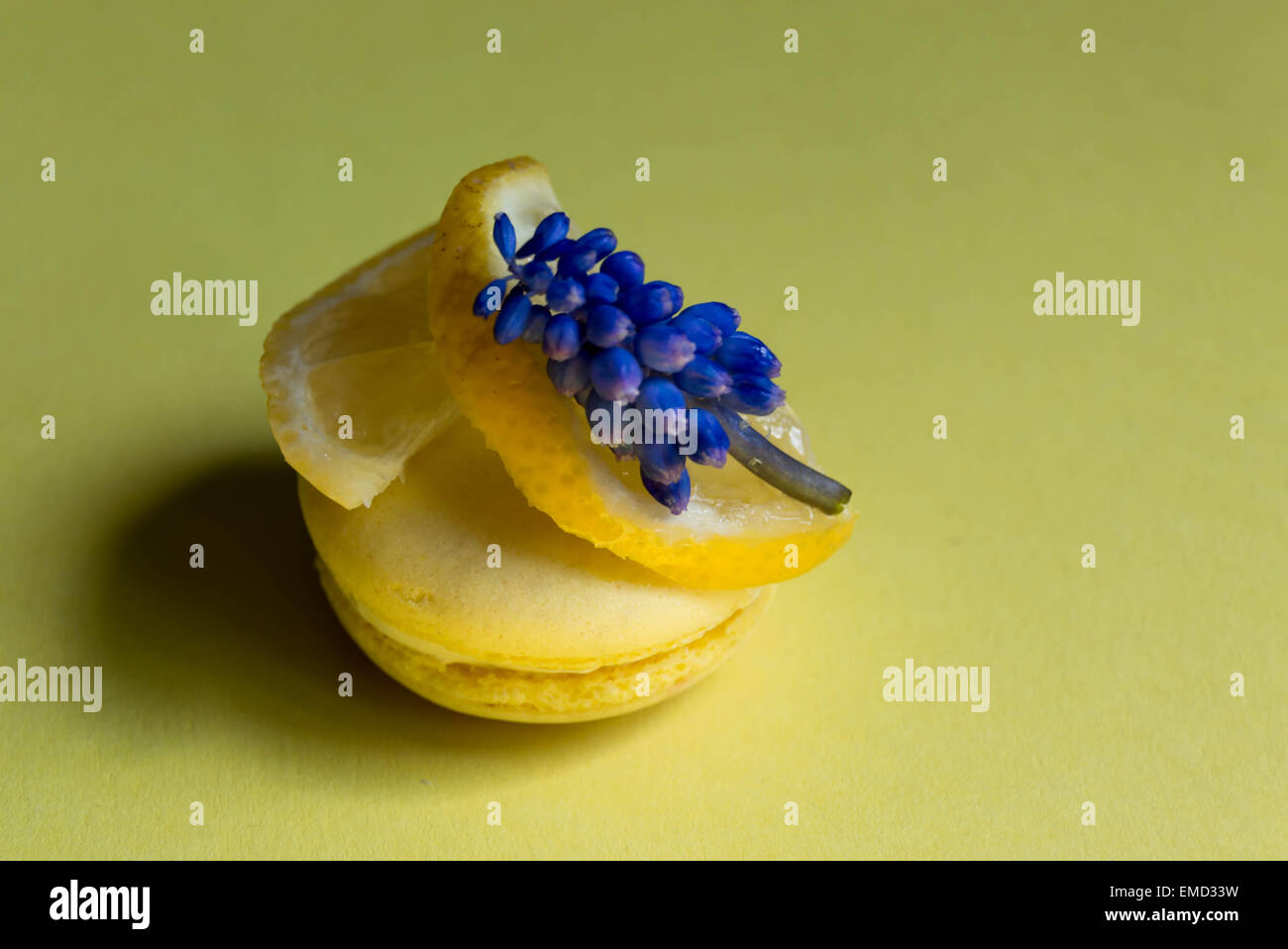 Gourmet small colorful French macarons with lemon flavor and decorative ...