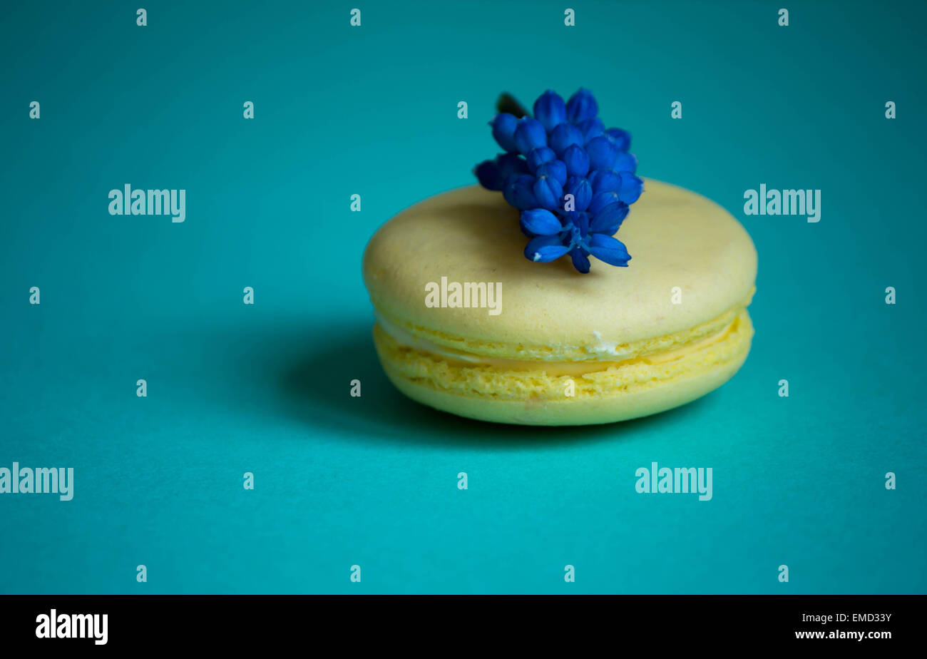 Traditional Parisian cookie Macaroon with violet flower Stock Photo - Alamy