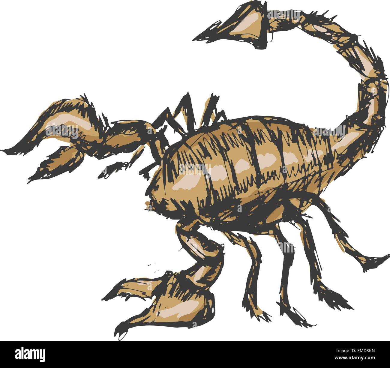 Hand drawn sketch scorpion hi-res stock photography and images - Alamy