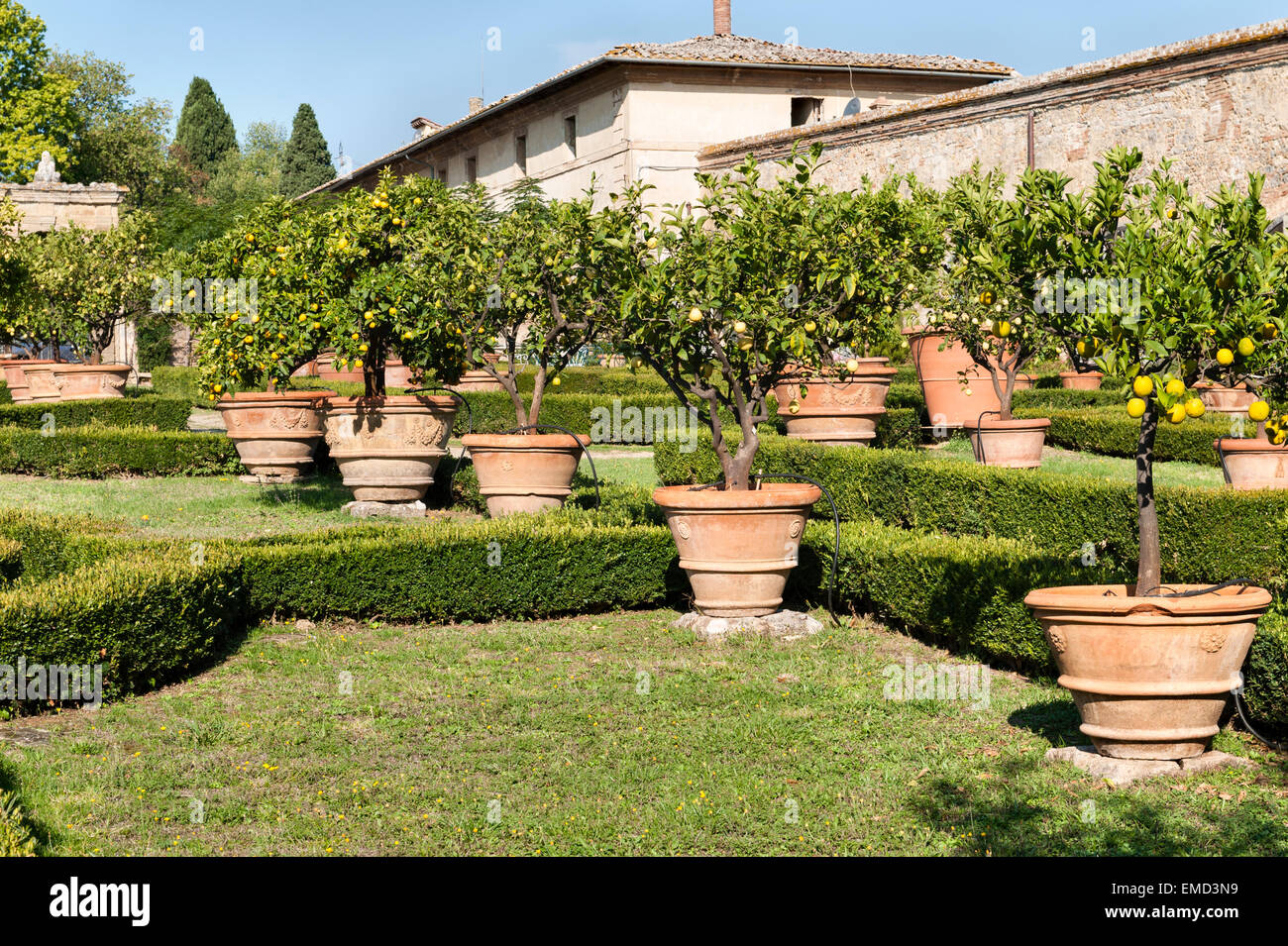 Clipped box hedges hi-res stock photography and images - Alamy