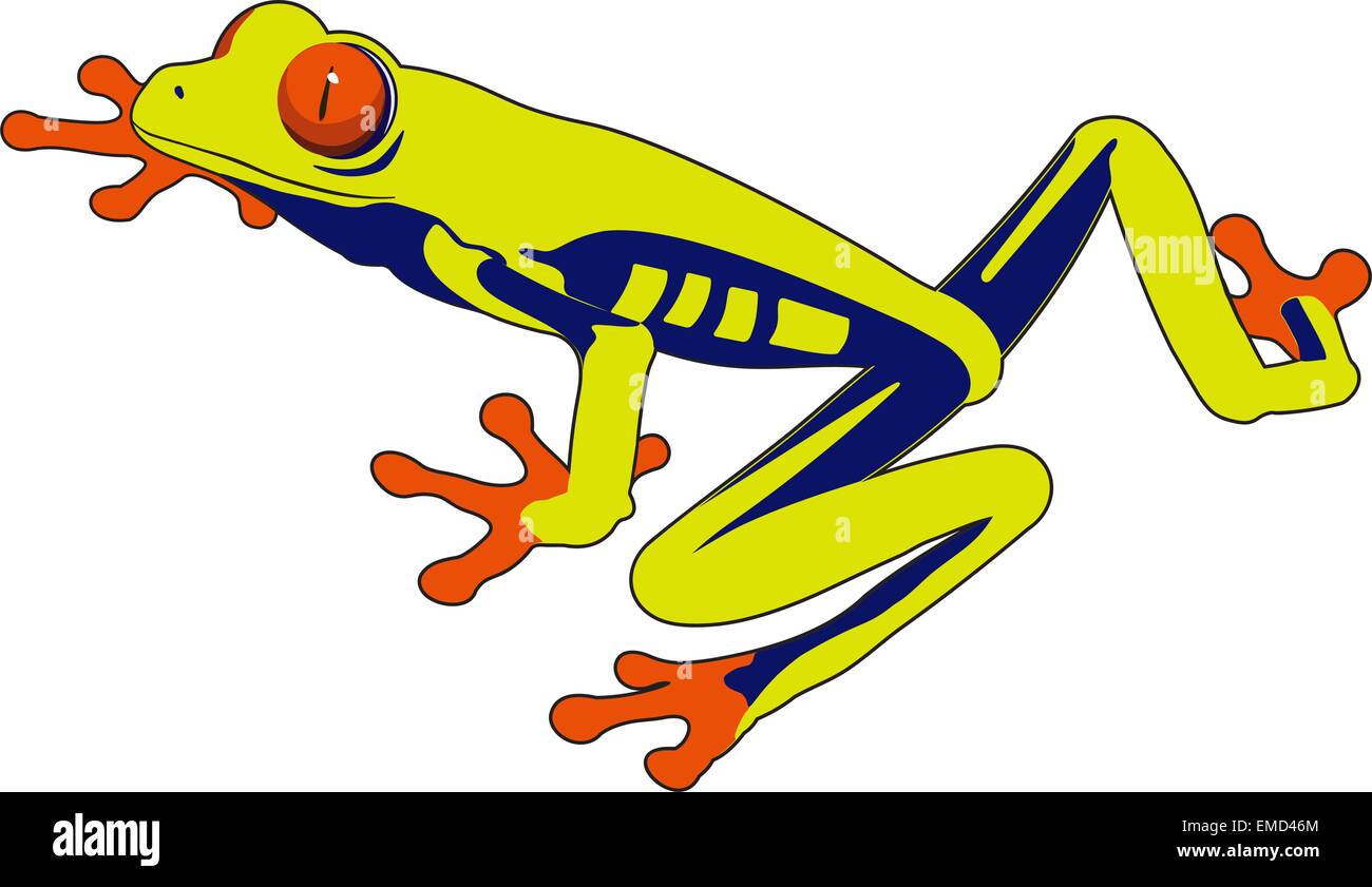 Eye of the frog Stock Vector Images - Alamy