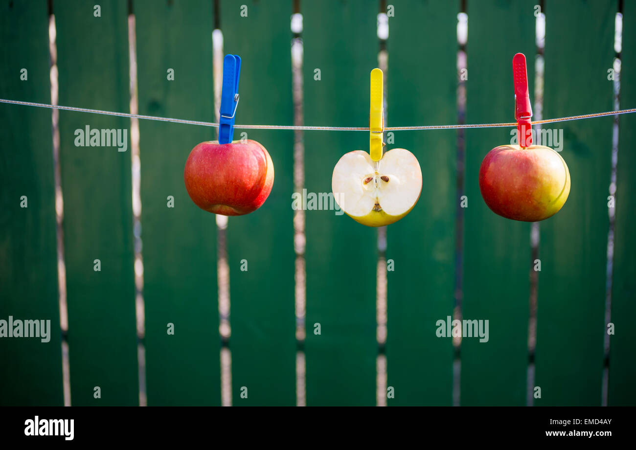 Apples hanging on the rope to dry Stock Photo - Alamy