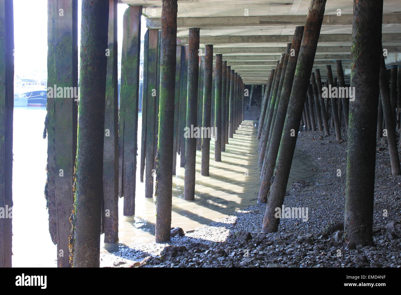 posts holding up newlyn pier from underneath at low tide Stock Photo ...