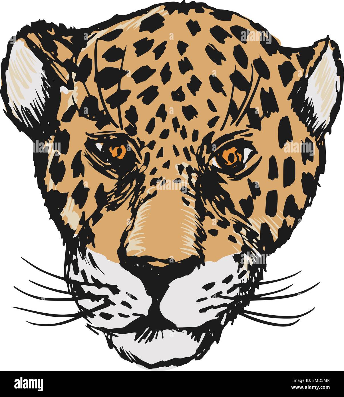 Black jaguar jungle Stock Vector Images - Alamy