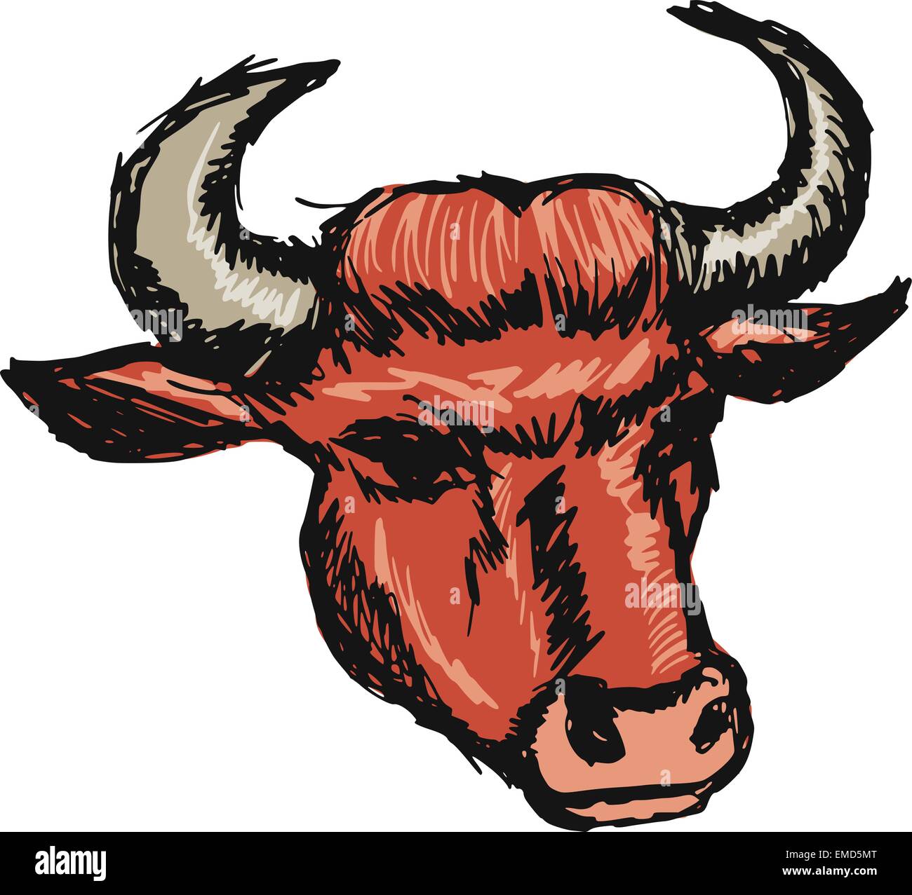 Beef cow sketch Cut Out Stock Images & Pictures - Alamy