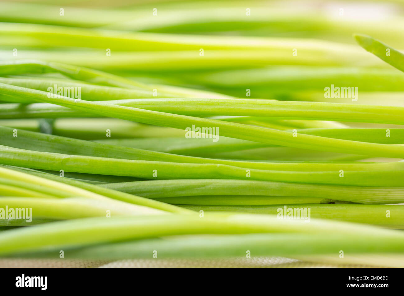 Onion stems hi-res stock photography and images - Alamy