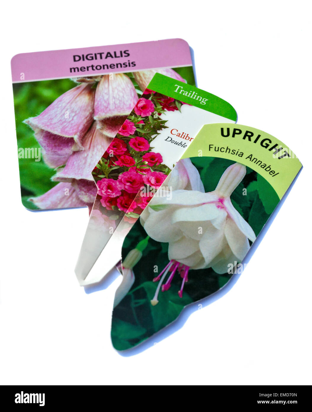 Plant Labels for Annuals and Perennials Stock Photo - Alamy