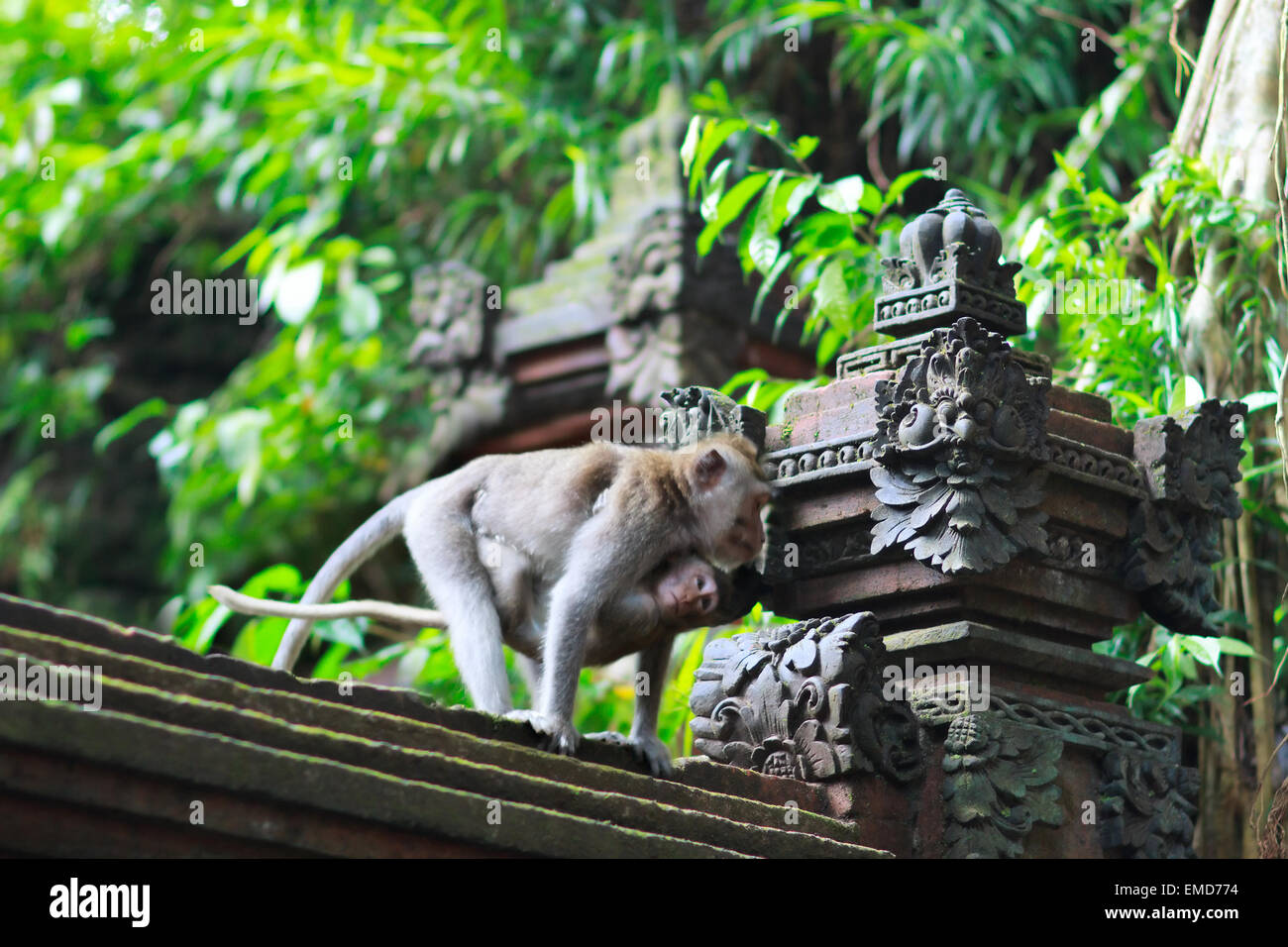 Details of temple in Ubud monkey forest Stock Photo - Alamy