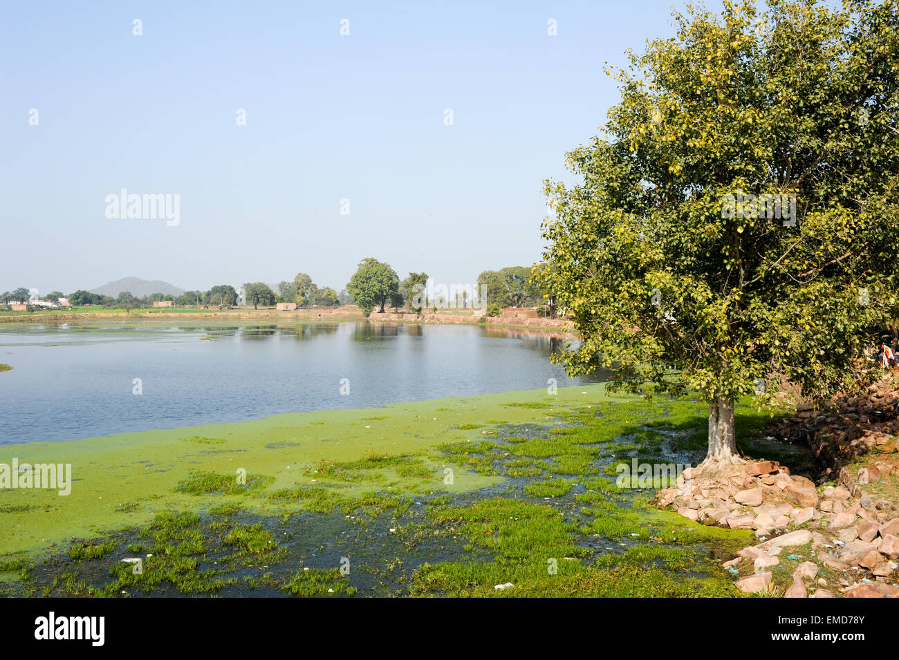 Narora lake at the village of Khajuraho on India Stock Photo - Alamy