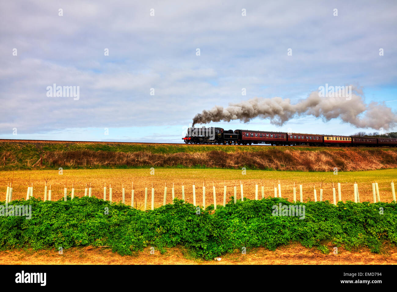 Black prince steam locomotive hi-res stock photography and images - Alamy
