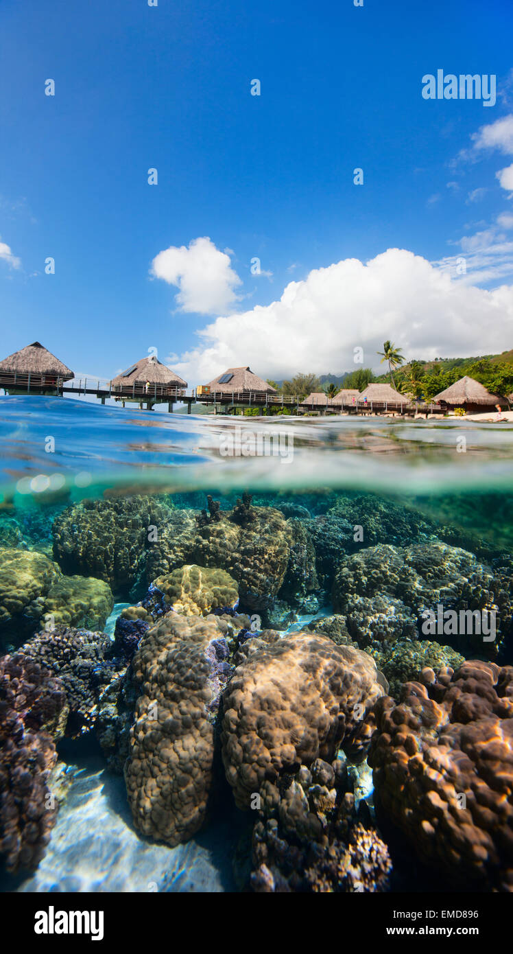 French Polynesia above and bellow water Stock Photo - Alamy