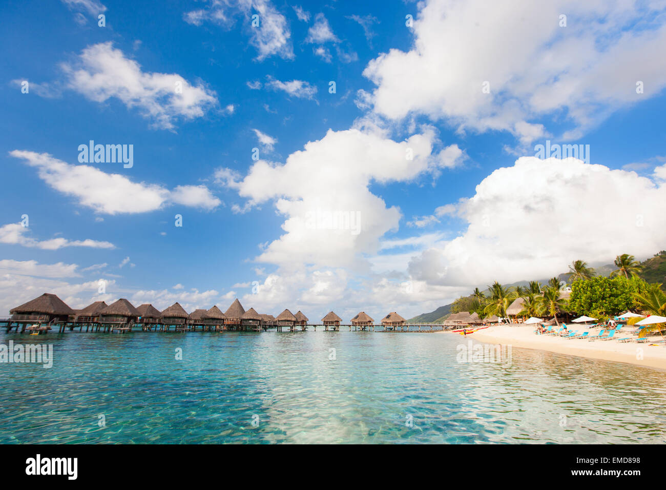 Tropical beach on Moorea island Stock Photo - Alamy