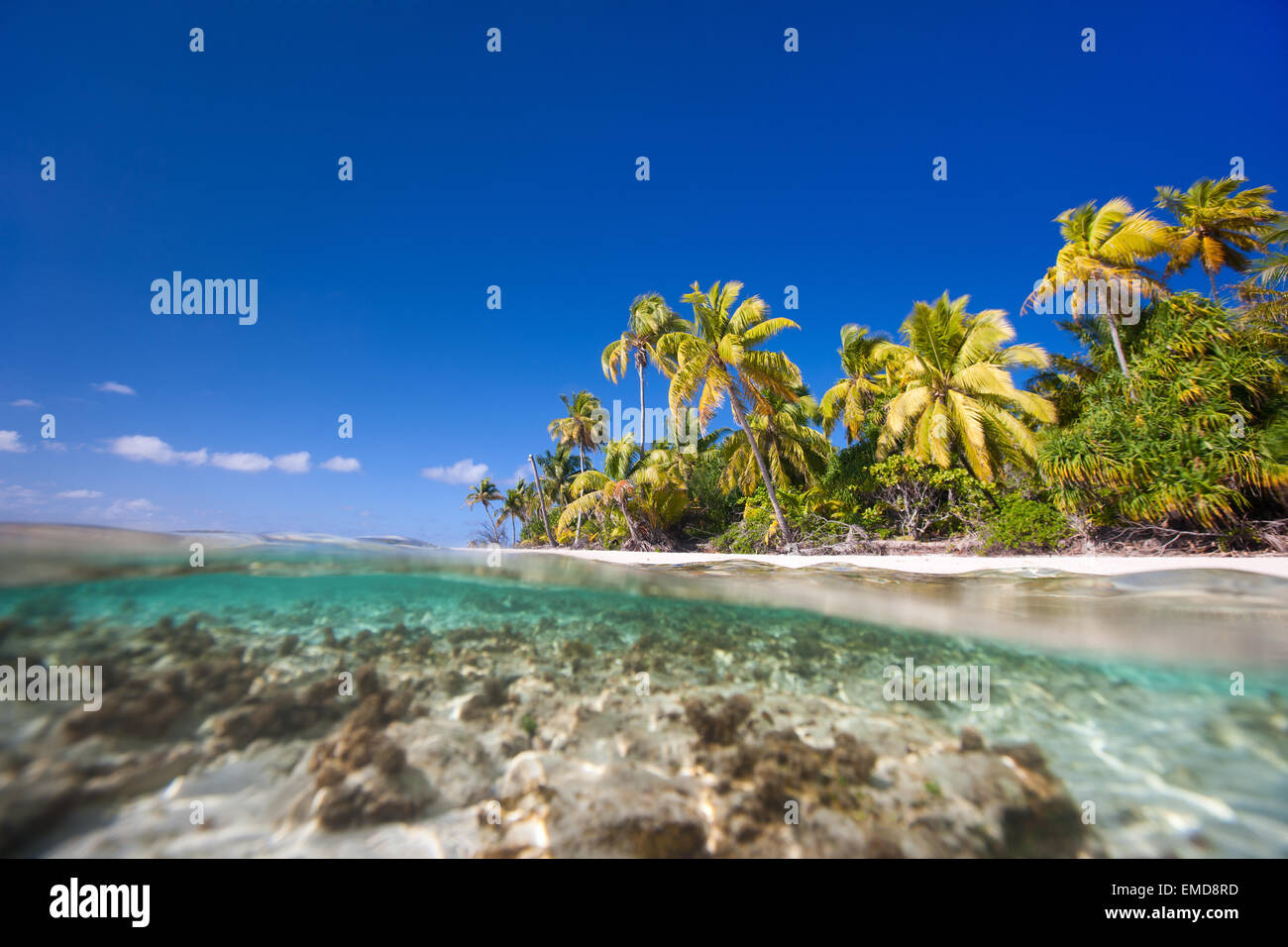 Beautiful tropical island tikehau hi-res stock photography and images ...