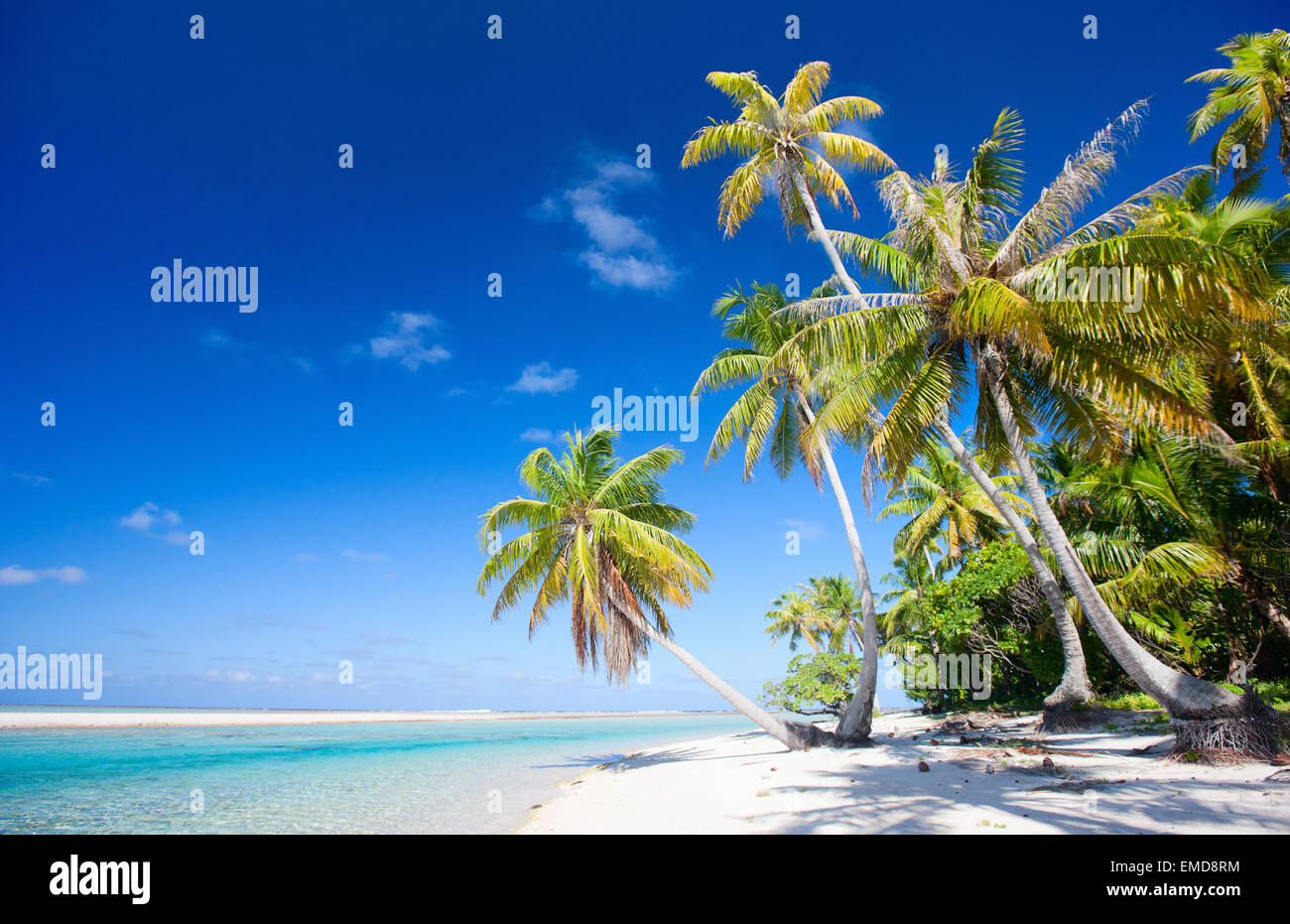 Perfect tropical beach Stock Photo - Alamy