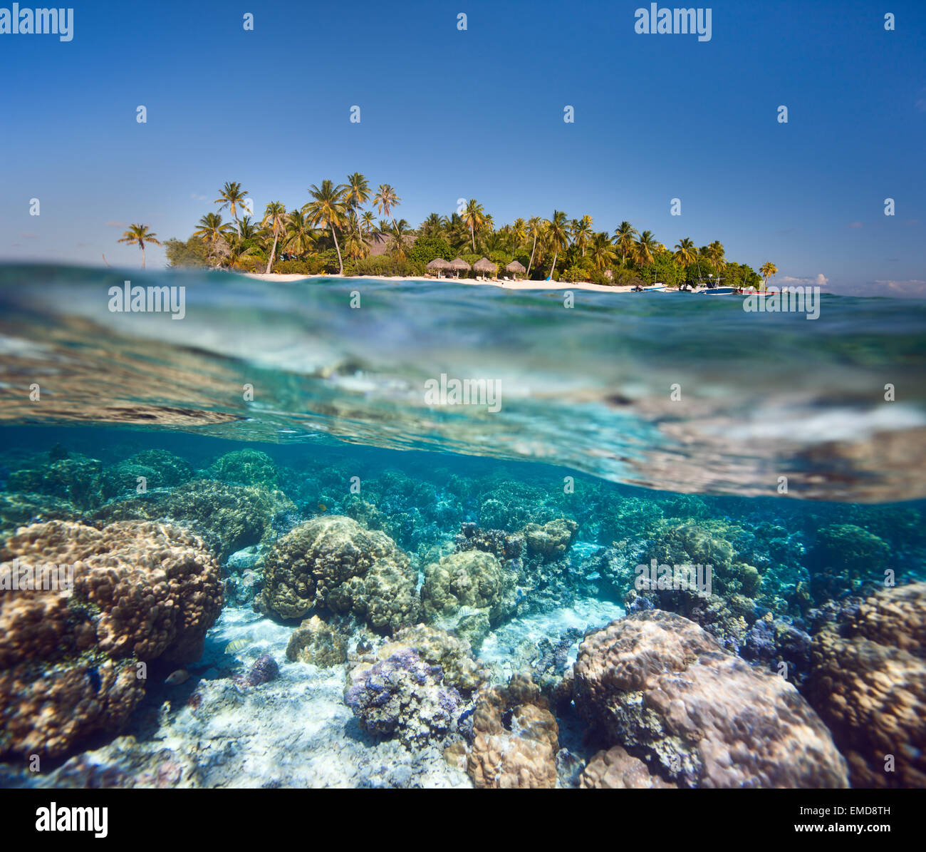 Tropical island above and underwater Stock Photo - Alamy