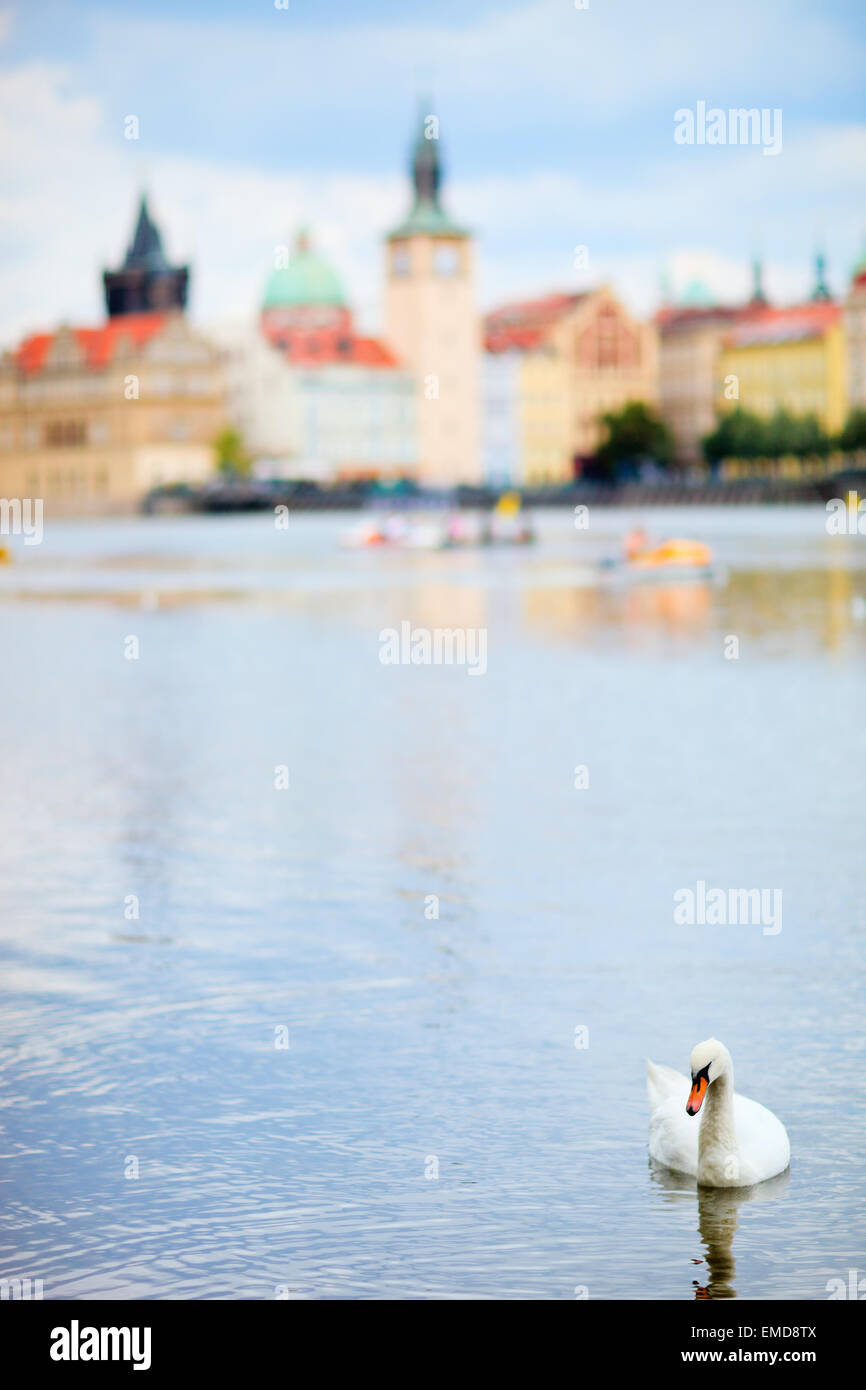 River medieval architecture swan hi-res stock photography and images ...
