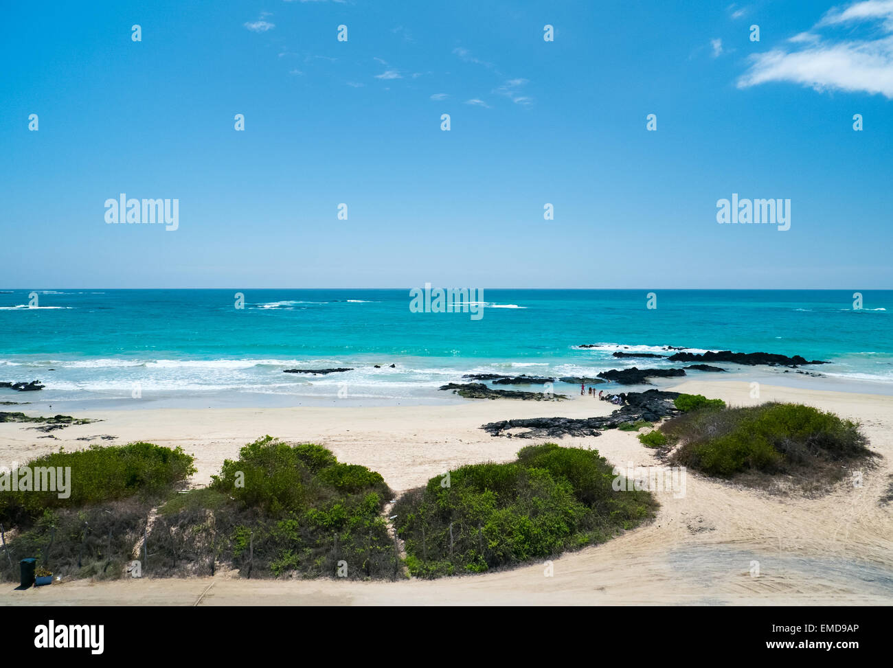 Beach on Galapagos Isabela island, Ecuador Stock Photo - Alamy