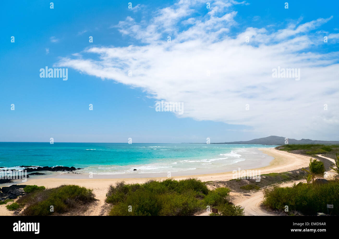 Beach on Galapagos Isabela island, Ecuador Stock Photo - Alamy