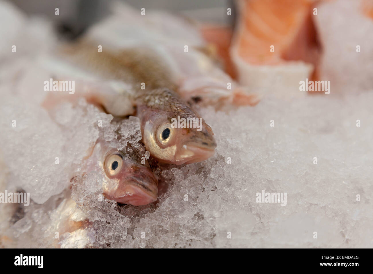 Coustomer hi-res stock photography and images - Alamy