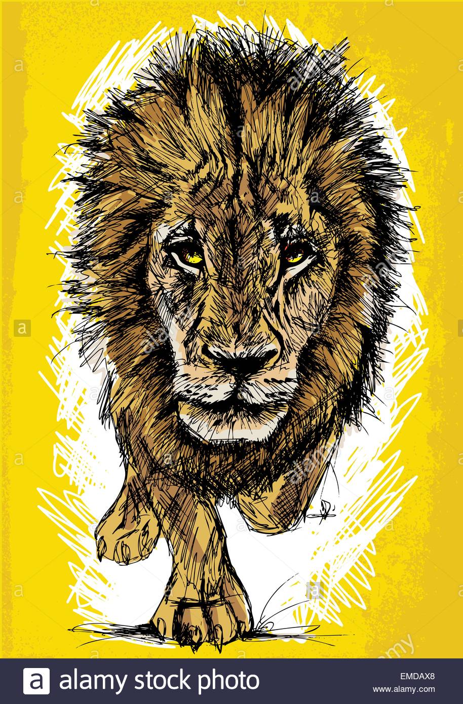 Lion Portrait Drawing Stock Photos & Lion Portrait Drawing Stock Images ...