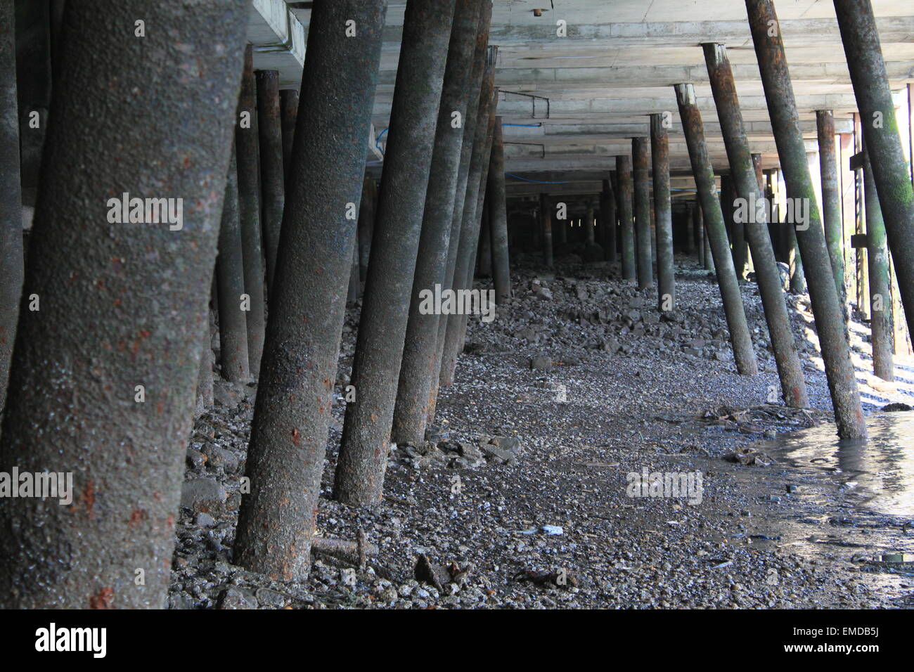 posts holding up newlyn pier from underneath at low tide Stock Photo ...