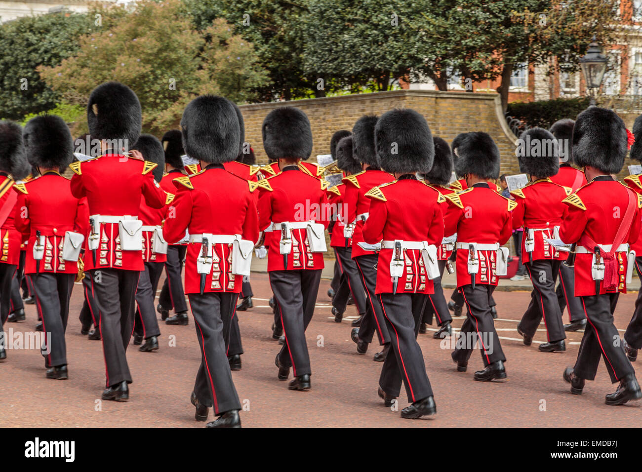 An image of The Regimental Band of the Coldstream Guards marching ...