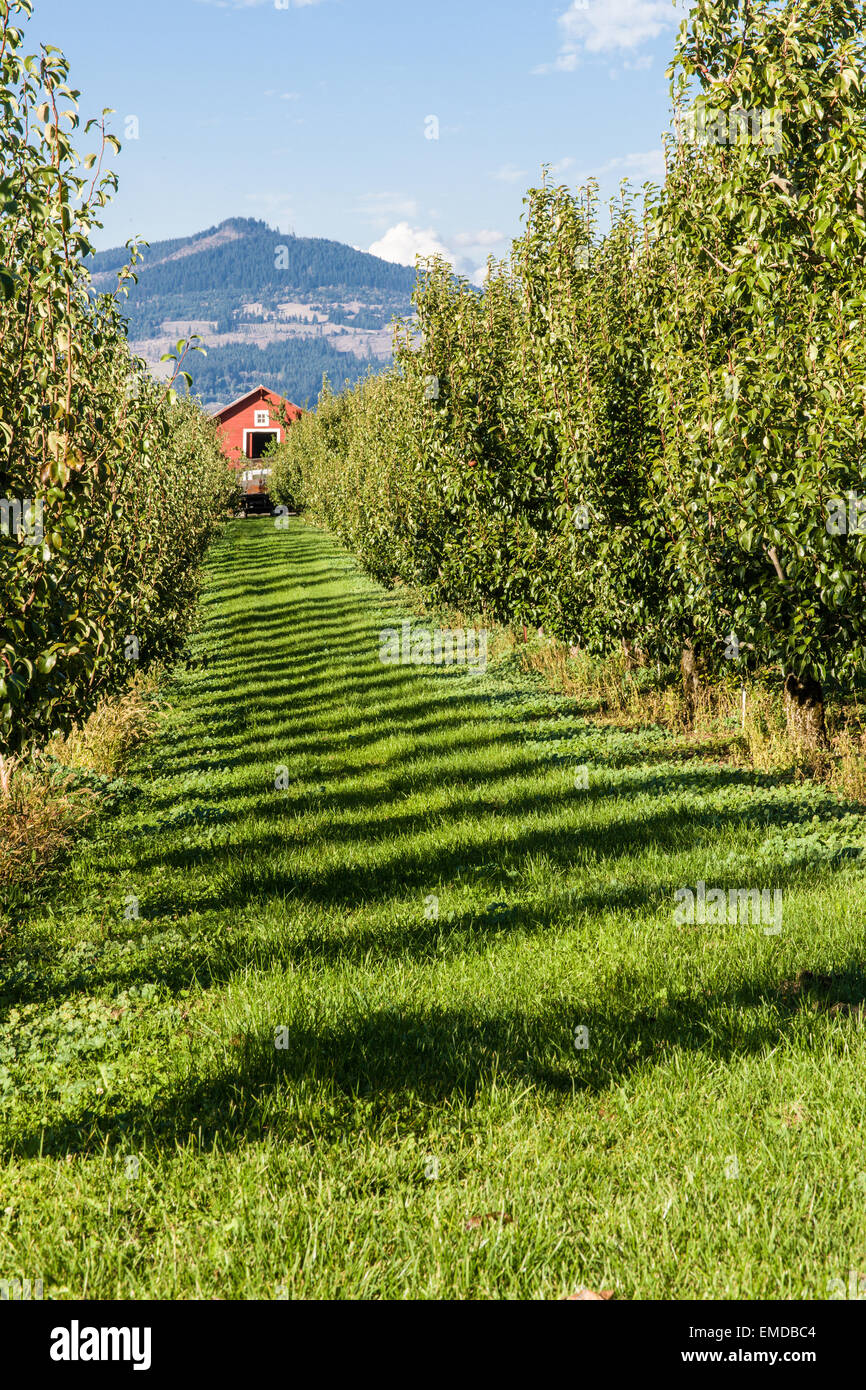 Orchard barn hi-res stock photography and images - Alamy