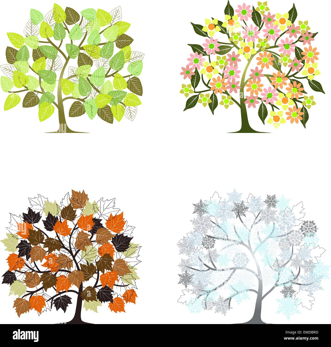 Four seasons tree Stock Vector Images - Alamy